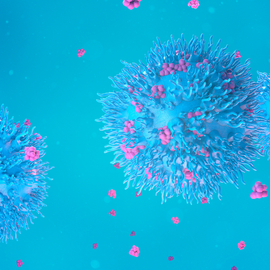 Lymphocytes - Open Medicine Foundation